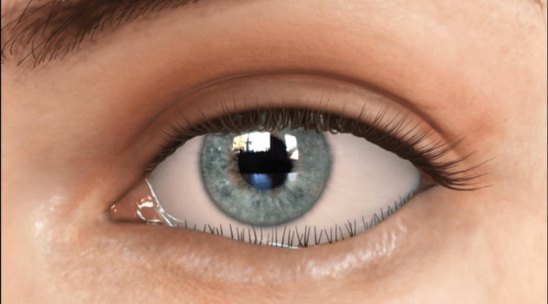 Ectropion And Entropion Overview | Fort Lauderdale Eye Institute