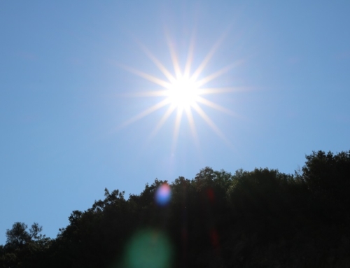 Why Babies Are Born With Blue Eyes | FLEI